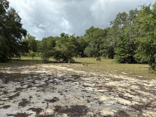 0220 Chesser Monroe Rd, Interlachen, FL 32148