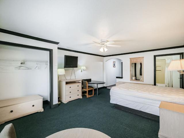 025SWA +SF10BUILDING +SFI15 1 Bedroom Apartment for Rent at 1025 Swanson St, Houston, TX 77030 Astrodome