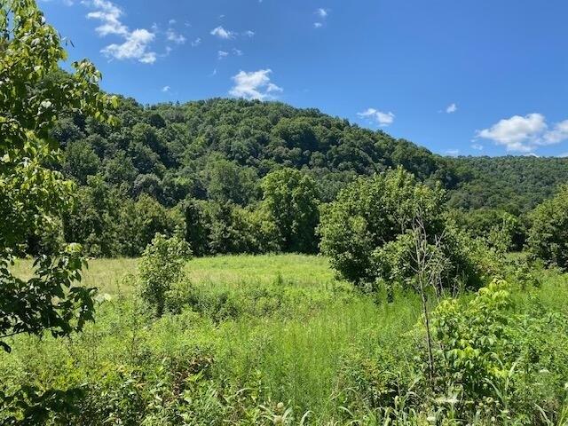 029.03 Hatfield Rd, Tazewell, TN 37879