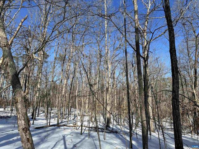 02 Beaverdam Rd # 2