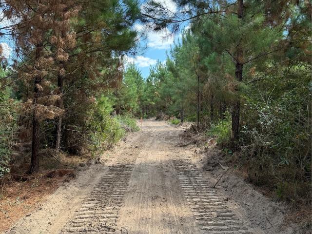 02 Bracewell Cemetery Road
