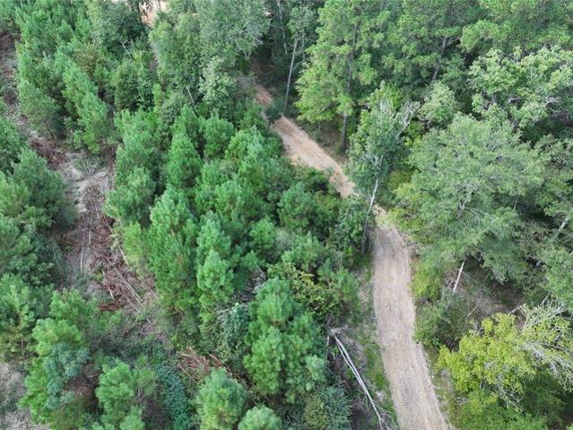 02 Bracewell Cemetery Rd, Livingston, TX 77351