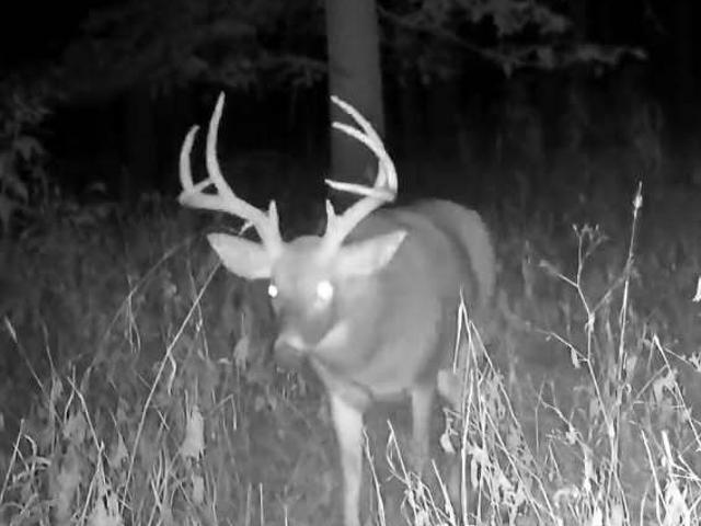 02 County Road 525N