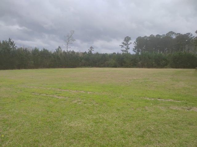 02 Davis Ter, Saint George, SC 29477
