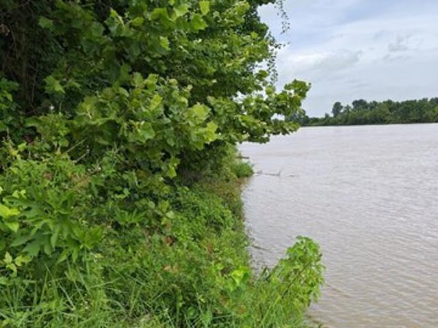02 Hainaut Ln, Marksville, LA 71351