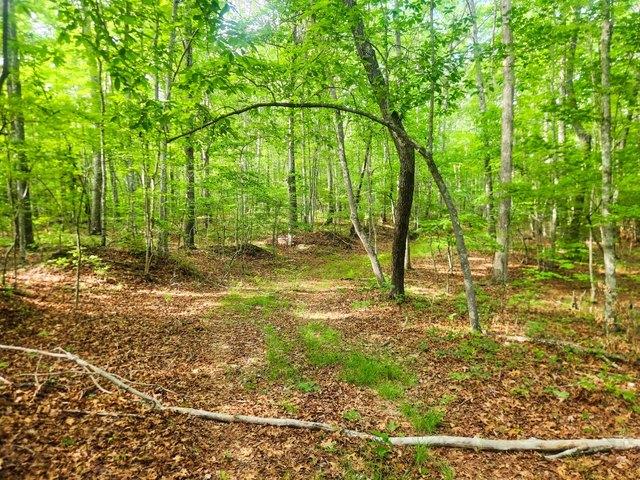 02 Little White Oak Rd Unit 11, Duff, TN 37729