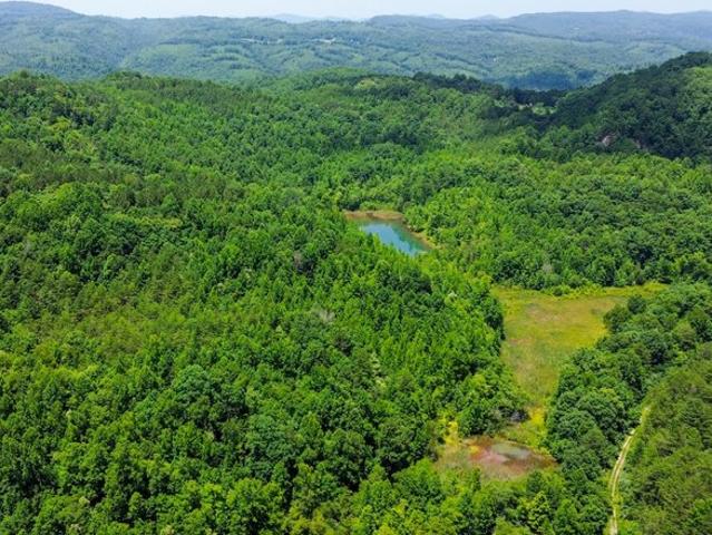 02 Little White Oak Rd Unit 5, Duff, TN 37729