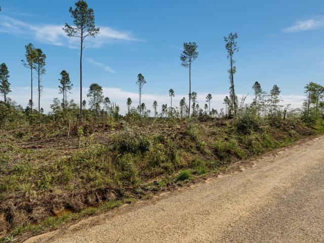 02 Lucas Hollow Road