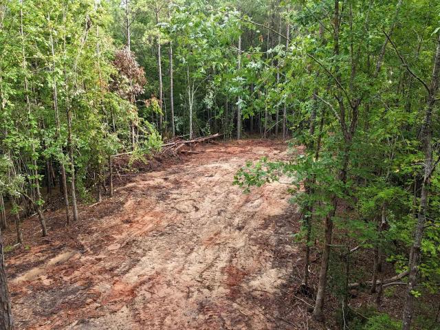 02 Neal Shoals Road