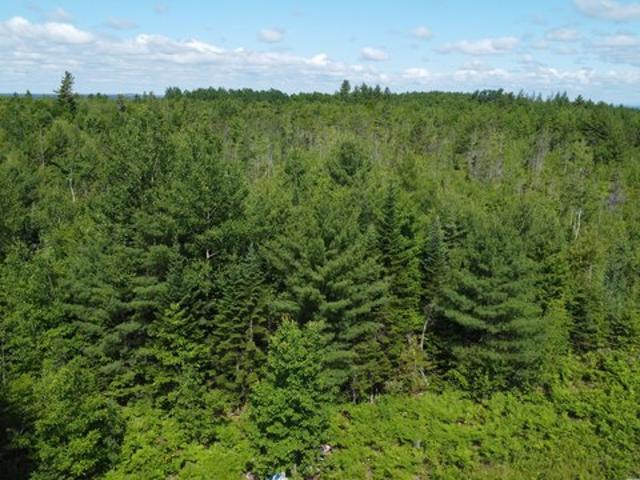 030 007 Cardville Rd, Greenbush, ME 04418