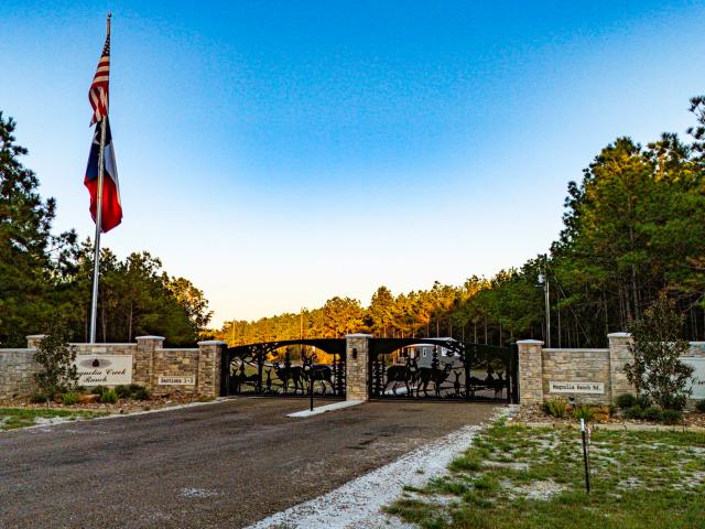 0313 King Ranch Road South