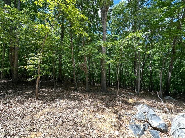 033 Fire Tower Drive