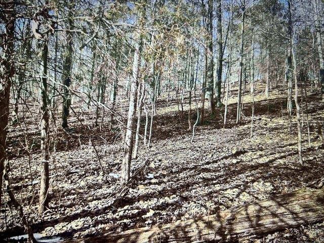 034 Canton Heights 2 Cir, Cadiz, KY 42211