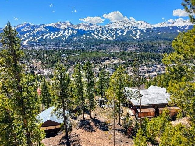 0363 County Road 452, Breckenridge, CO 80424