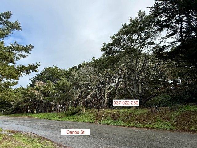037022 Carlos, Moss Beach, CA 94038