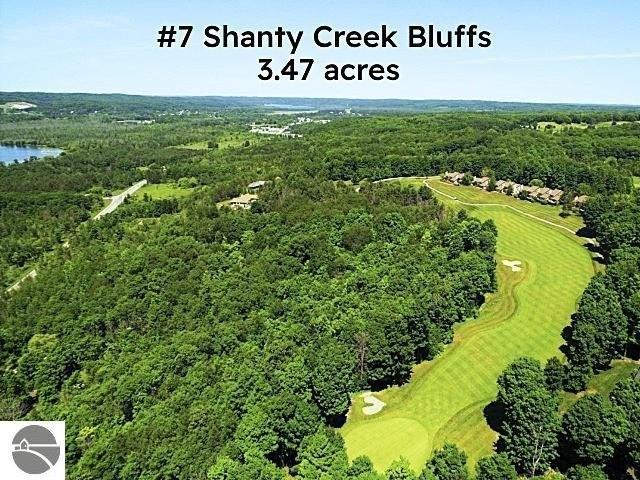 07 Creek Hill Dr, Bellaire, MI 49615