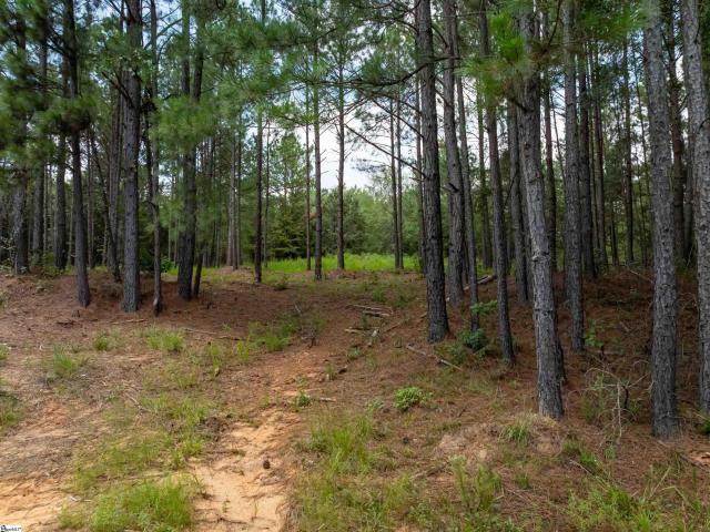 07 Neal Shoals Road