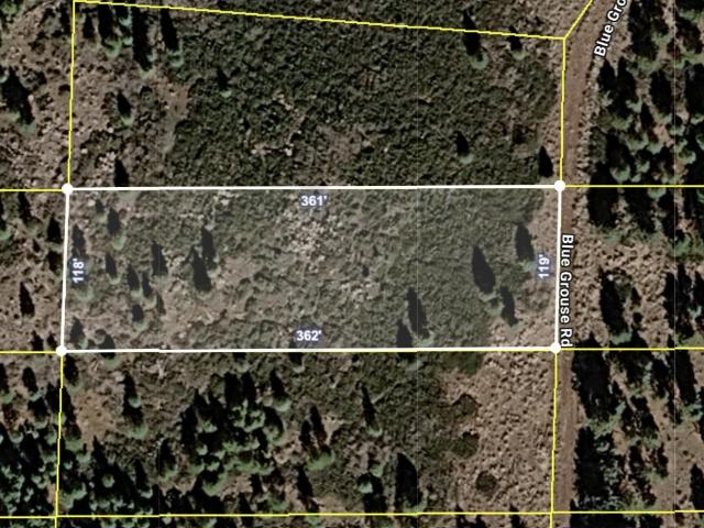 041 521 Blue Grouse Road