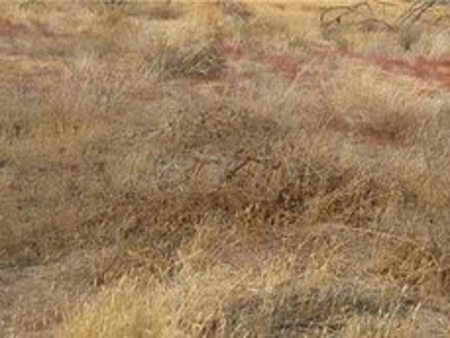 04333001 Twisselman Rd, Lost Hills, CA 93249