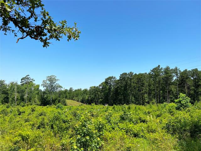 04 Carters Ferry Road