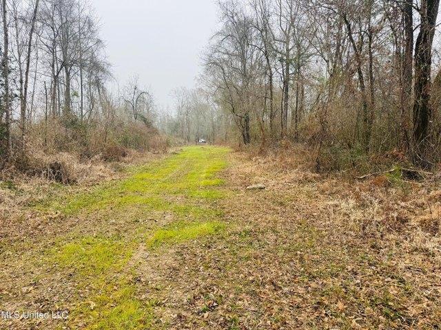 04 Sidney Ellzey Rd, Tylertown, MS 39667