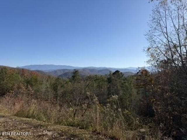 050 00 Obes Branch Rd Parcel 53, Sevierville, TN 37876