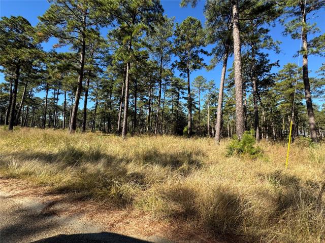 057 Private Road 6028