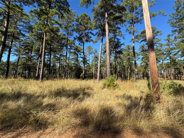063 Private Road 6026