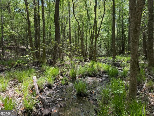 067 George Milling Rd