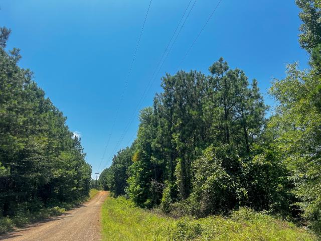 06 Bayou Road