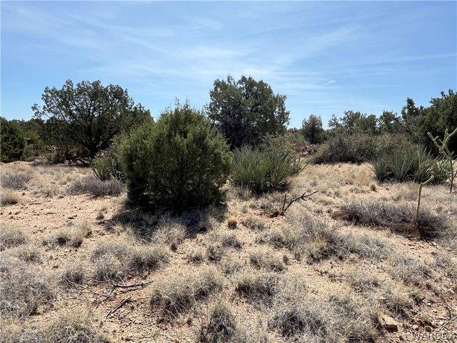 073A E Dubois Dr, Kingman, AZ 86402