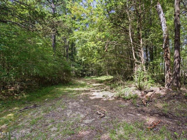 077 Sulphur Springs Road