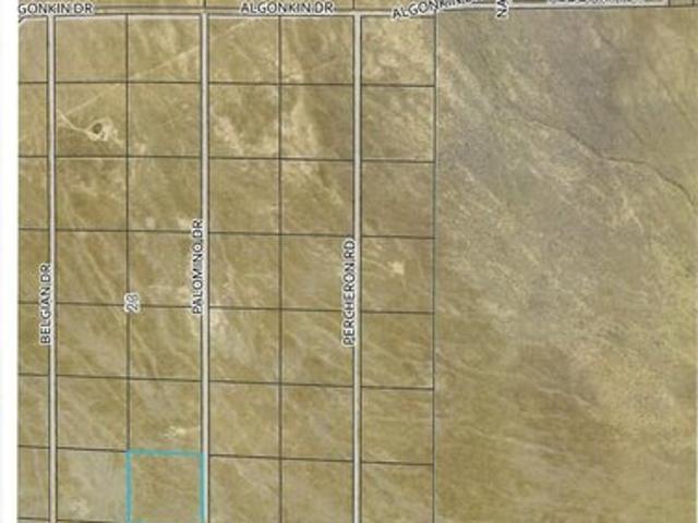 08067 Palomino Rd, Golconda, NV 89414