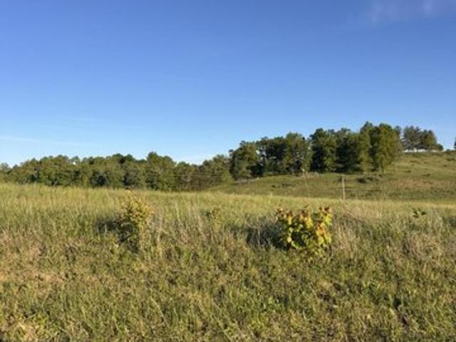09090 Slate Lick Rd, London, KY 40741