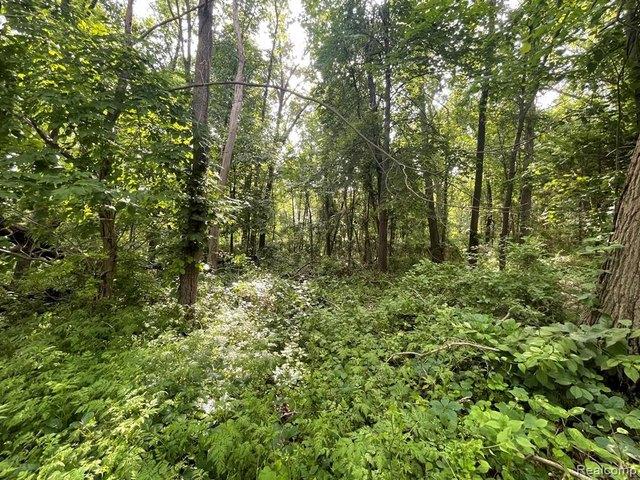09 Tipsico Lake Rd, Highland, MI 48357