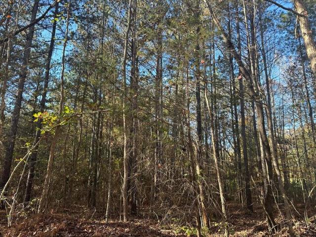 0 Mt Carmel Rd, Decatur, TN 37322 | MLS #1532