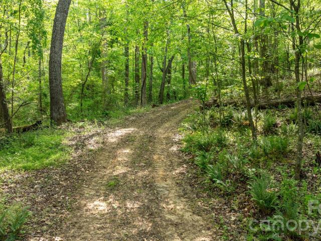 256 Long Leaf Pine Drive