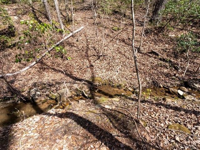0 Mulberry Circle