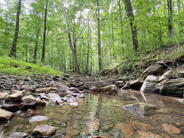 0 Murphy Hollow Rd