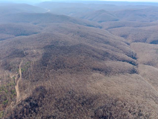 0 Murrell Bench Rd, Belvidere, TN 37306 | MLS #3072 | Compass