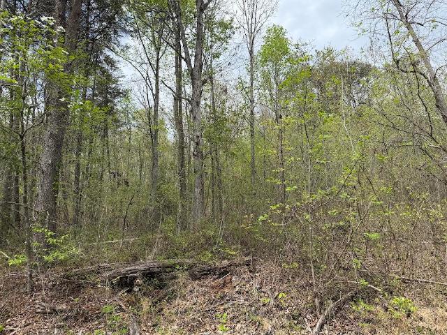 0 Myers Hill Rd, Tracy City, TN 37387 | MLS #3174