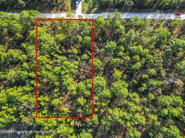 0 Macek, Weeki Wachee, FL 34614 | MLS #HC2241 | Compass