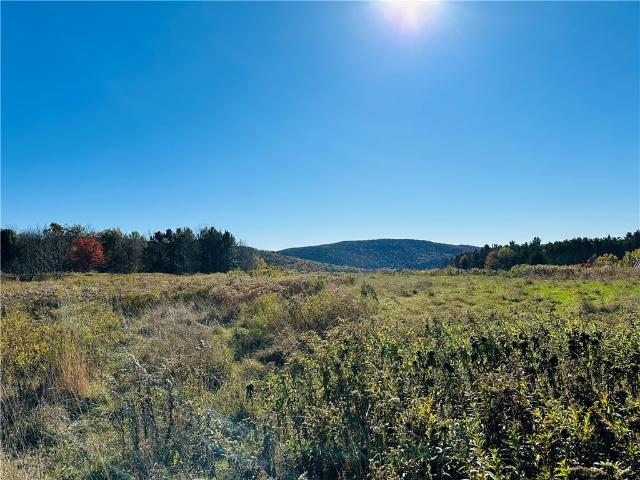 0 Macgibbon Rd, Walton, NY 13856 | MLS #R1645
