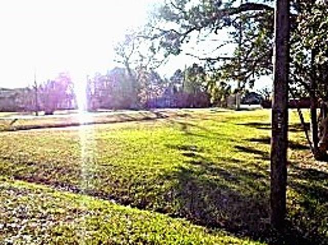 0 Magnolia, Houston, TX 77012 | MLS #65543
