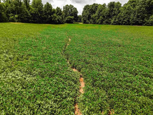 0 Mae Sigma Rd, Brighton, TN 38011 | MLS #10226