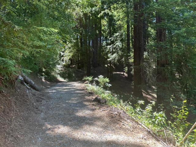 0 Main Blvd, Los Gatos, CA 95033 | MLS #ML82012 | Compass
