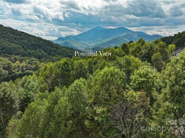 0 Majestic Mountain Drive # 11