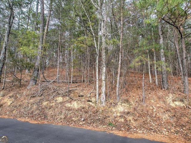 0 Manning Mill Road