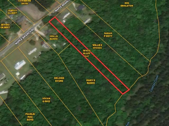 0 Maple Branch Rd, Unit ROAD, Reevesville, SC 29471 | MLS #25012 | Compass