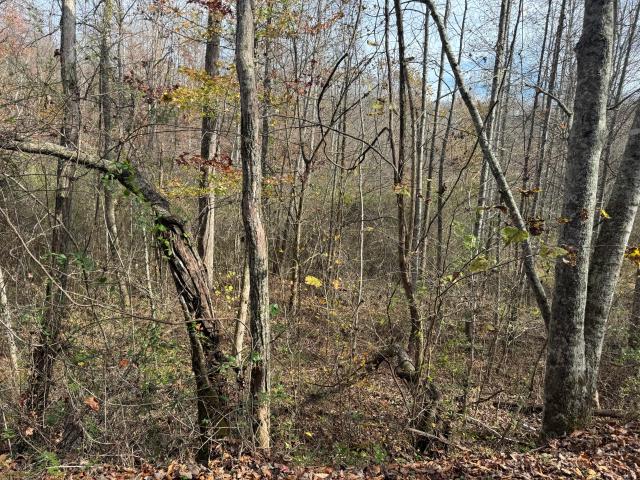 0 Maple Creek Road